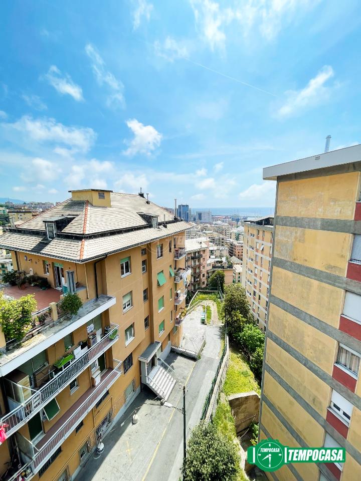 Quadrilocale, Genova
