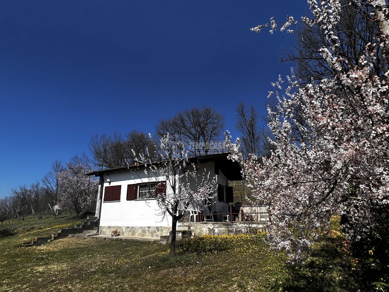 Casa indipendente in vendita a Basaluzzo