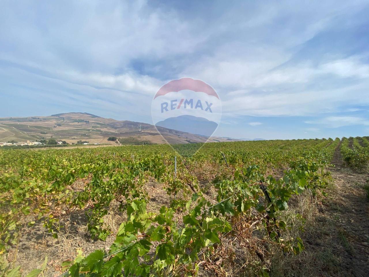 Terreno agricolo in vendita a Buseto Palizzolo