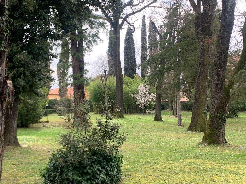 Appartamento in affitto a Sansepolcro