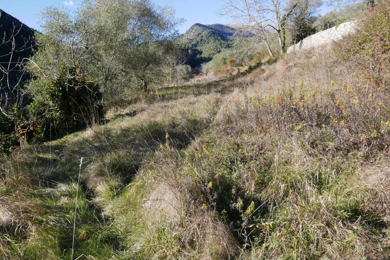 Terreno edificabile residenziale in vendita a Olivetta San Michele