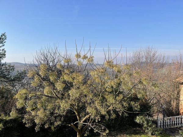 Rustico in vendita a Govone Foto-12