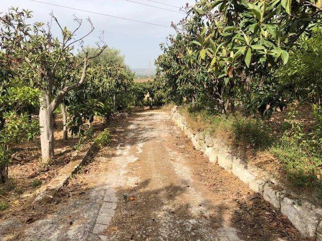 Terreno agricolo in vendita a Siracusa