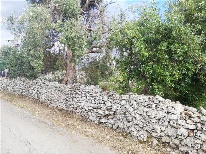 Terreno agricolo in vendita a Siracusa