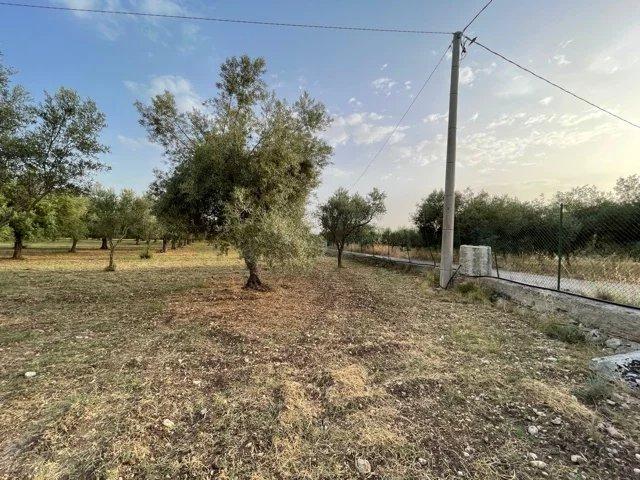 Terreno agricolo in vendita a Siracusa