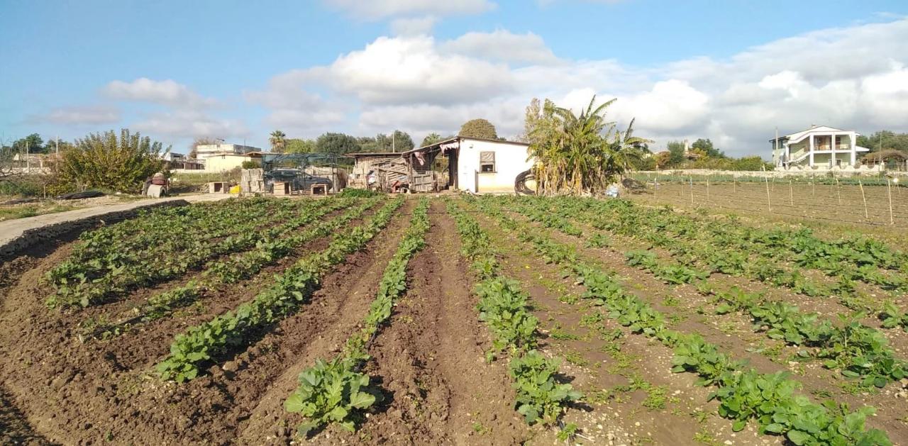 Terreno edificabile residenziale in vendita a Siracusa