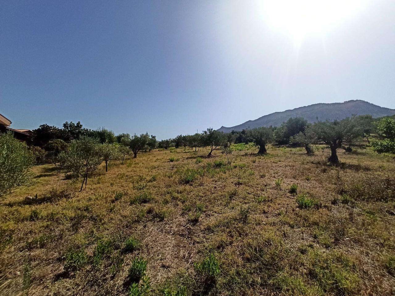 Terreno edificabile residenziale in vendita a Monreale