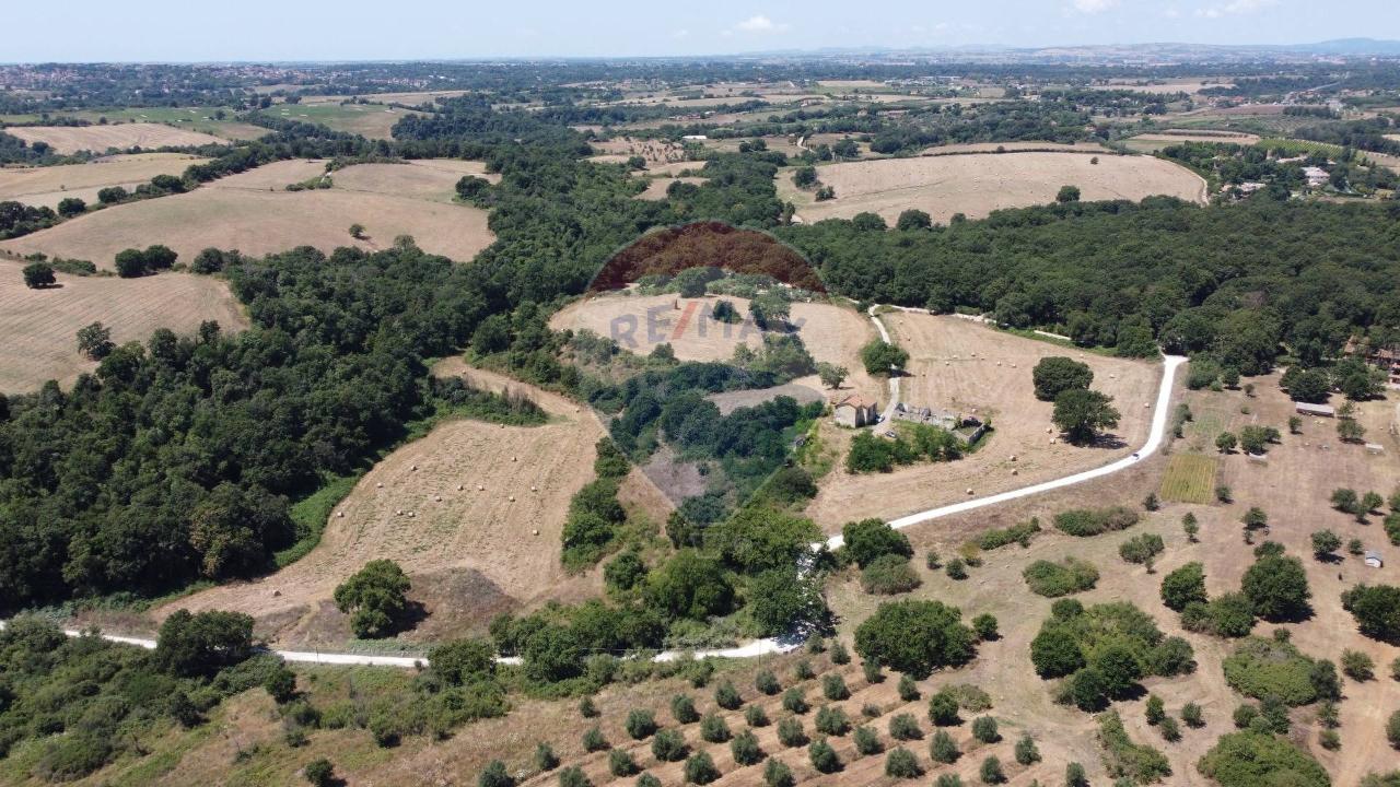 Terreno edificabile in vendita a Formello