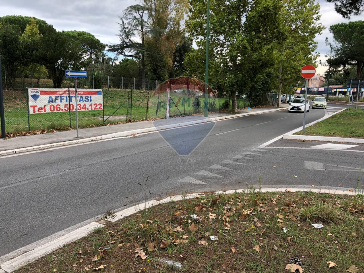 Terreno agricolo in affitto a Roma