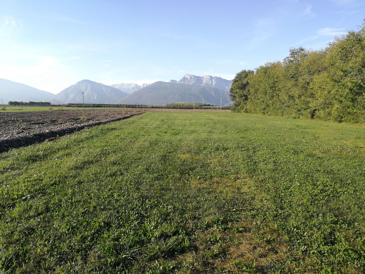 Terreno agricolo in vendita a Maniago