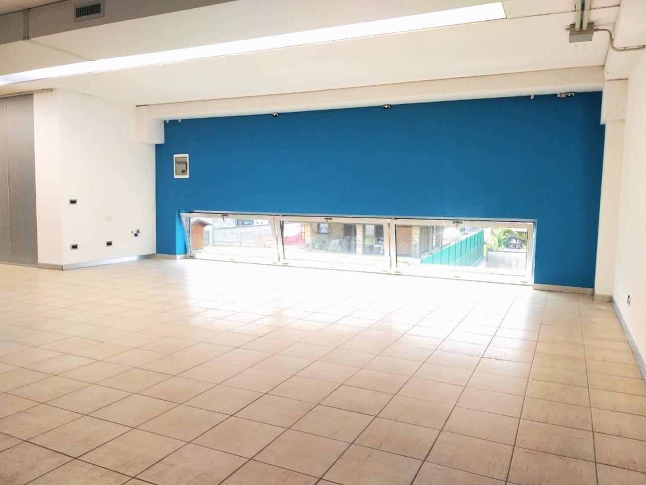 Capannone in affitto a Cesano Maderno