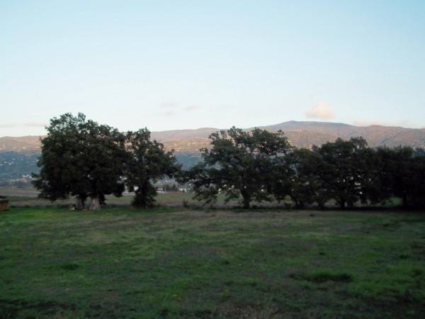 Terreno edificabile in vendita a Montalto Uffugo