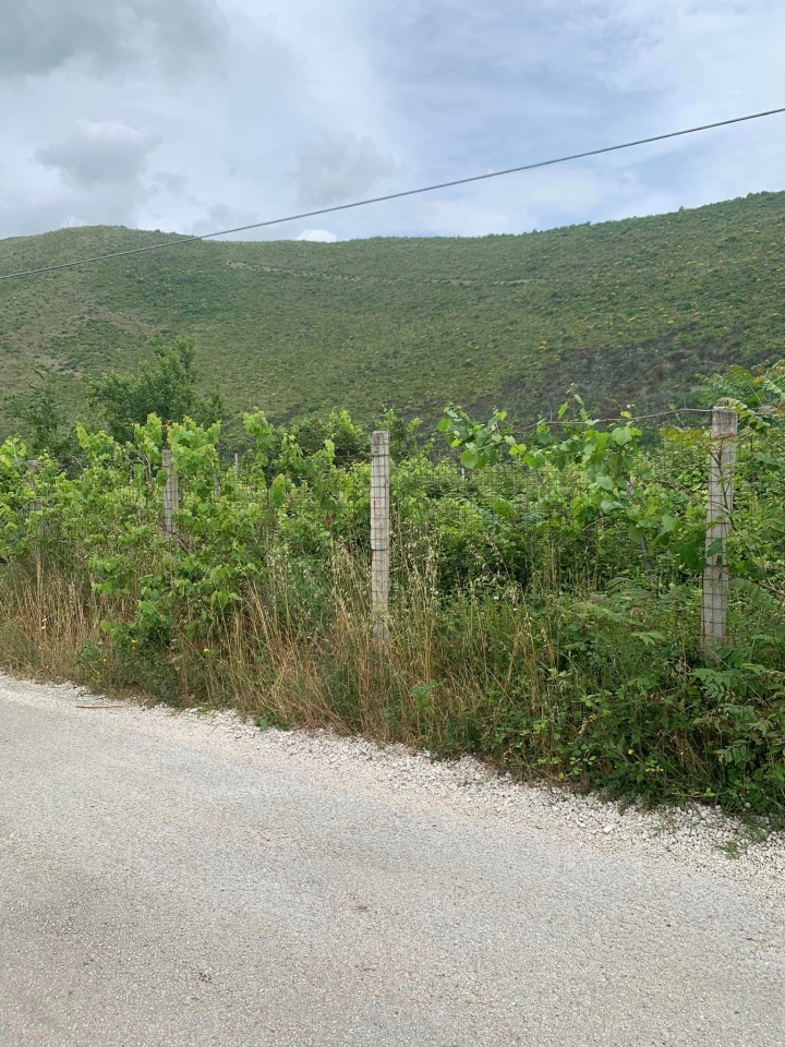 Terreno agricolo in vendita a Camigliano