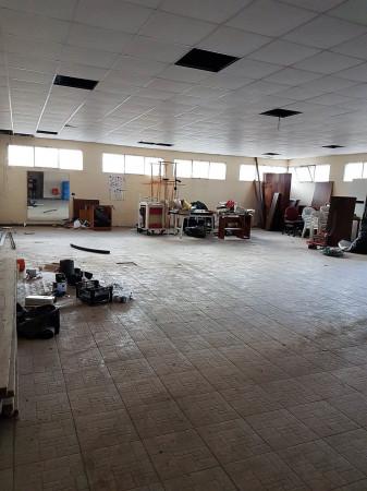 Showroom in affitto a Roma