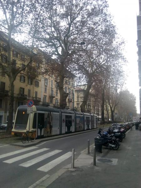 Appartamento in affitto a Milano