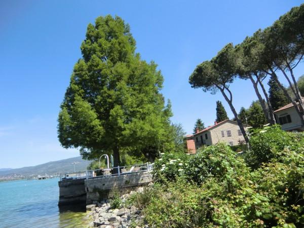Villa in vendita a Tuoro Sul Trasimeno
