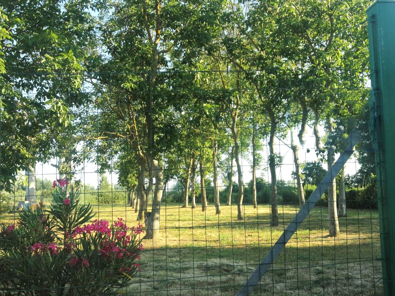 Terreno agricolo in vendita a Tuoro Sul Trasimeno