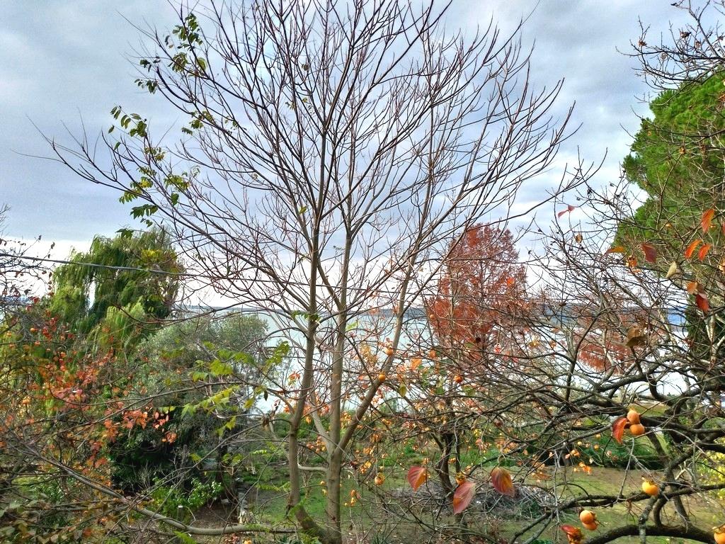 Villa in vendita a Tuoro Sul Trasimeno