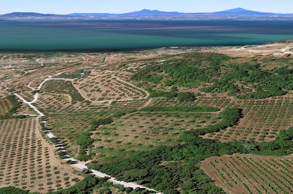 Terreno agricolo in vendita a Passignano Sul Trasimeno