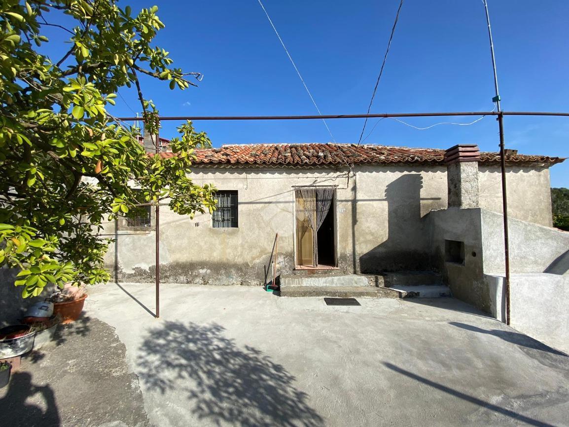 Casa indipendente in vendita a Buonvicino