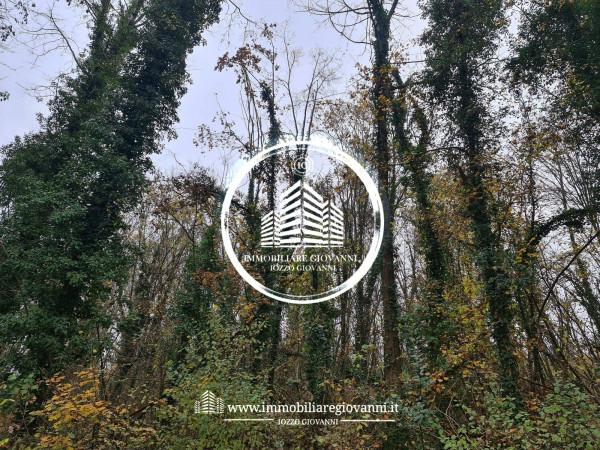 Terreno agricolo in vendita a Bra