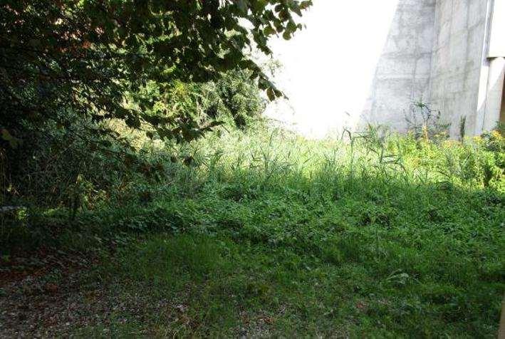 Terreno edificabile in vendita a Briosco