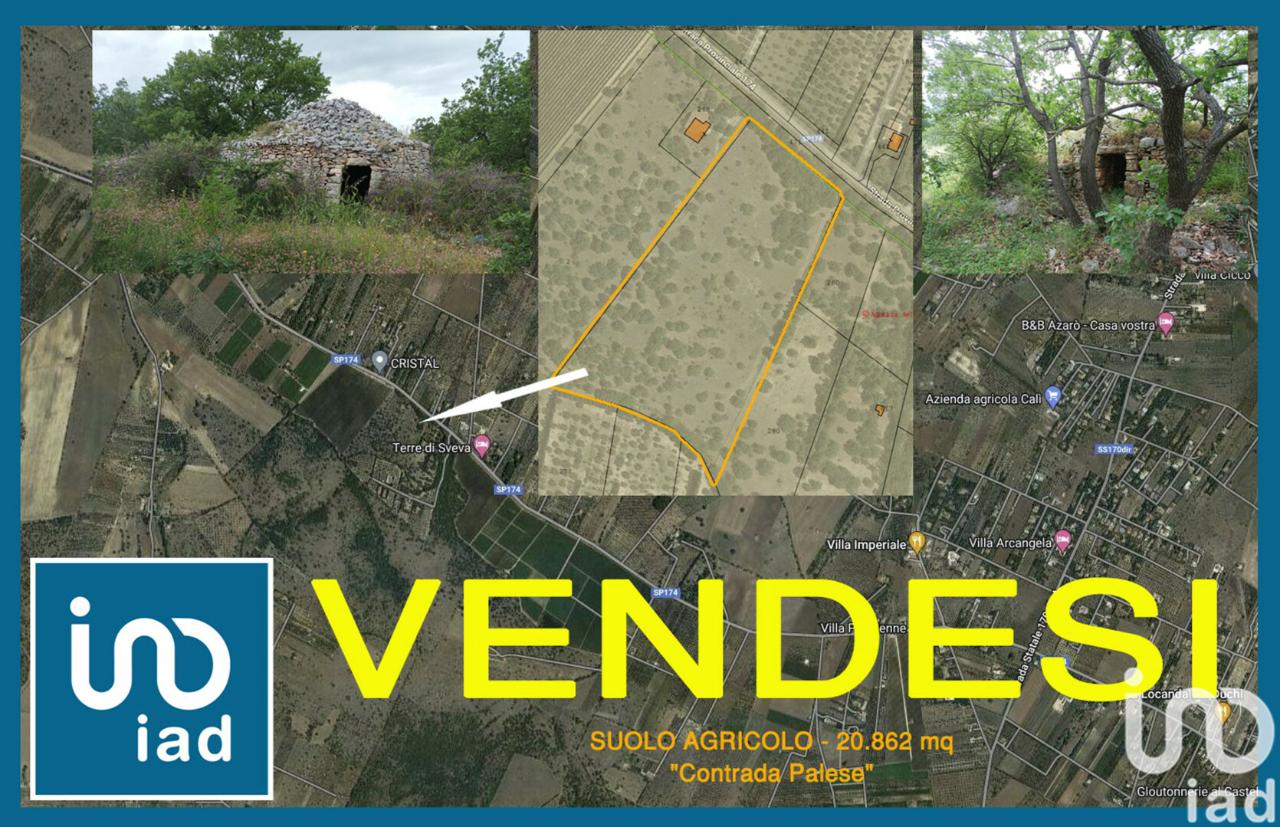 Terreno agricolo in vendita a Andria
