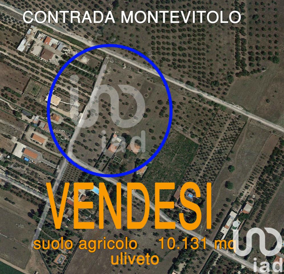 Terreno agricolo in vendita a Andria