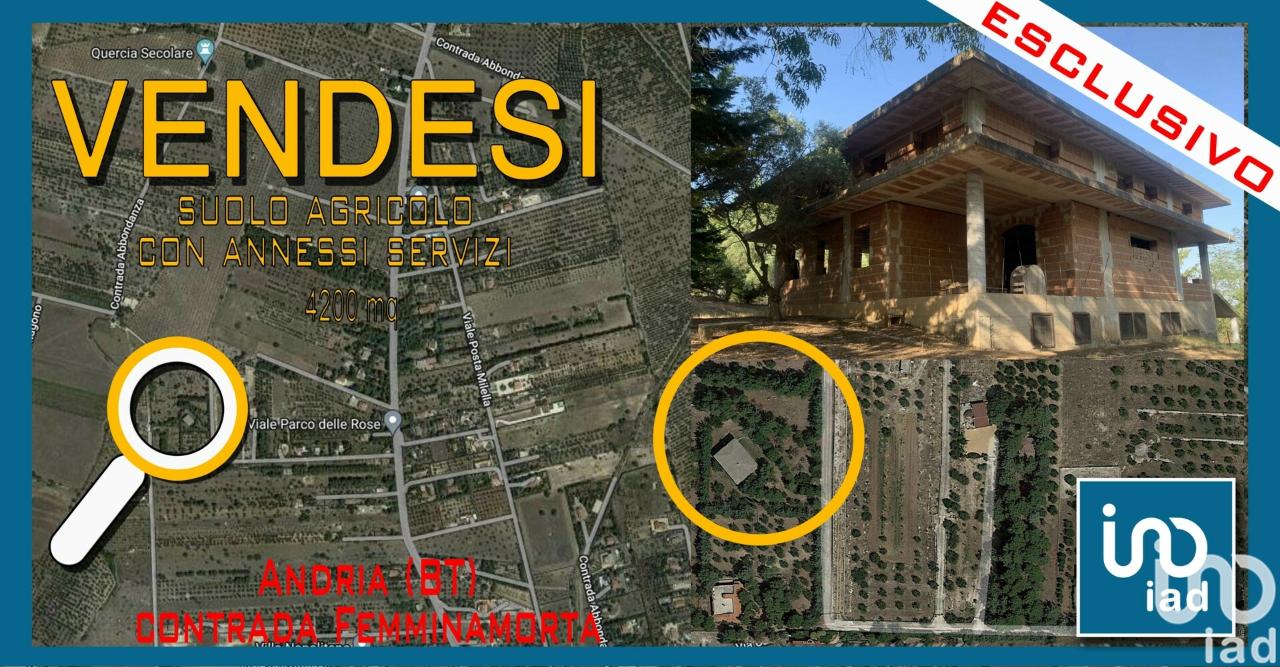 Terreno agricolo in vendita a Andria