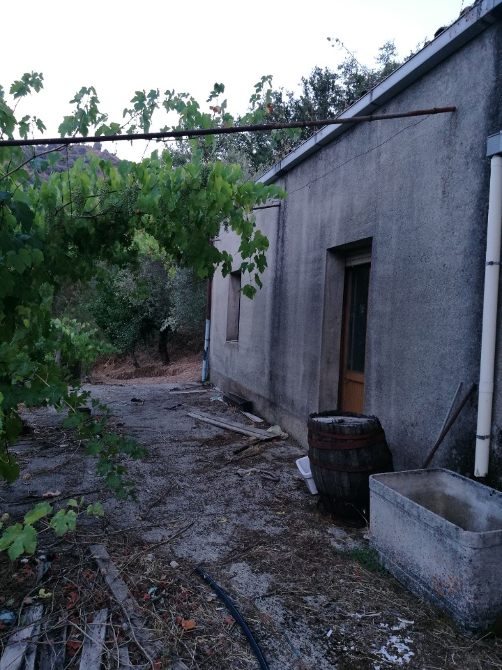 Terreno agricolo in vendita a Roma