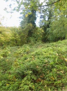 Terreno agricolo in vendita a Sesto Fiorentino