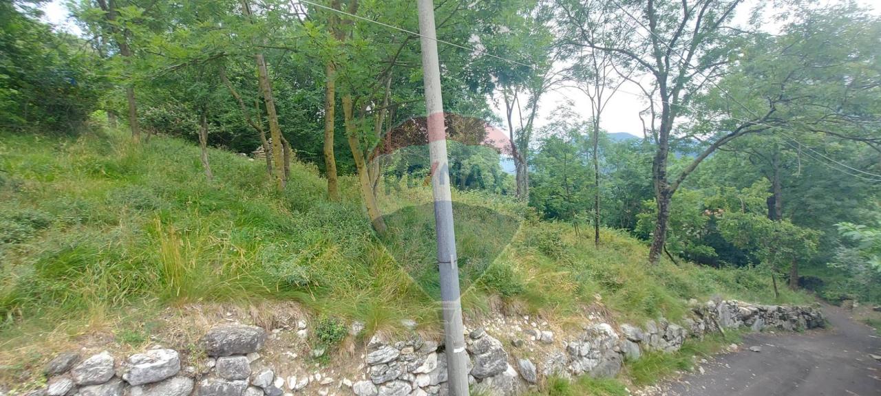 Terreno agricolo in vendita a Duno