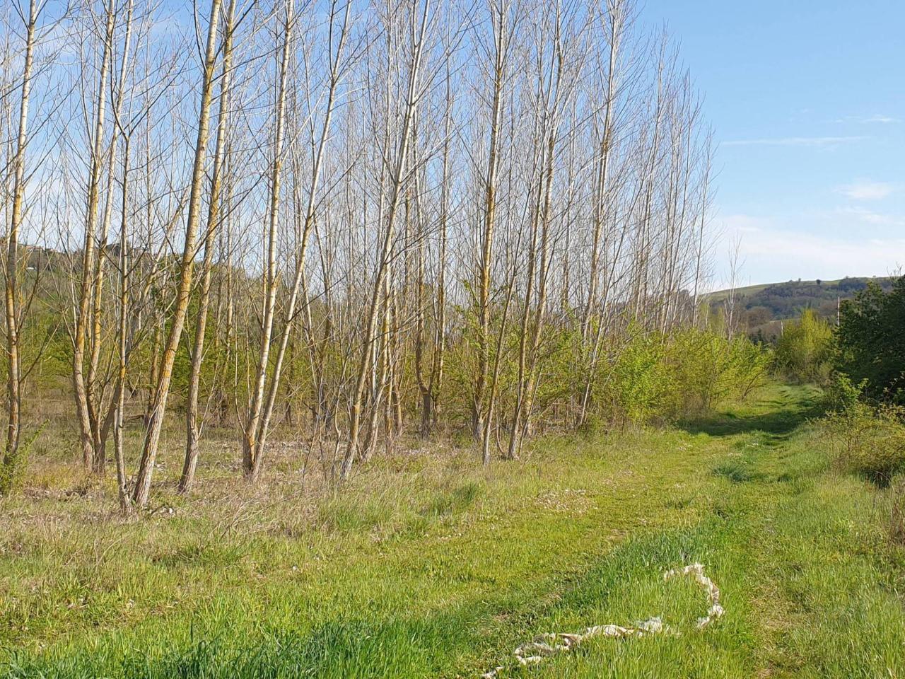 Immobile residenziale in vendita a Orvieto