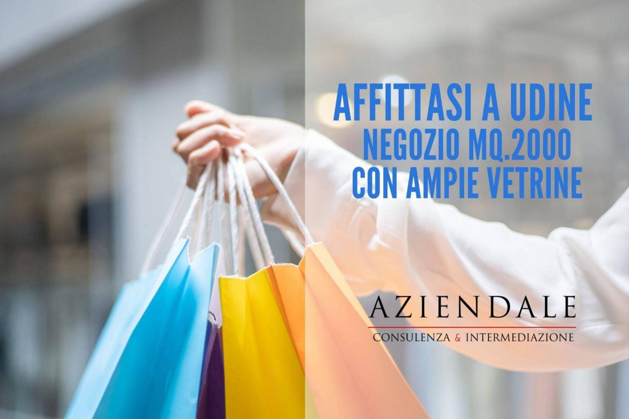 Locale commerciale in affitto a Udine