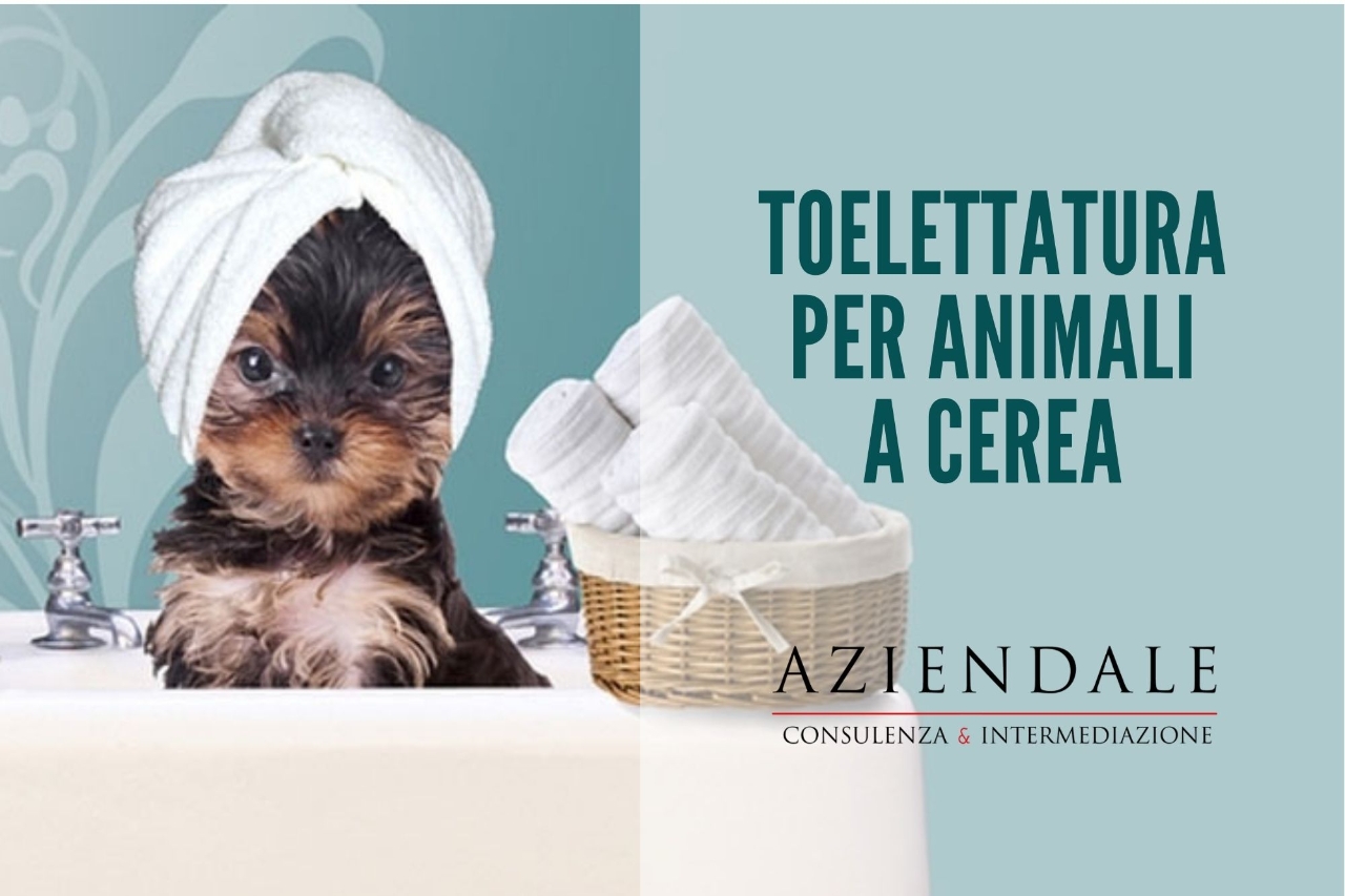 Esercizio commerciale in vendita a Cerea