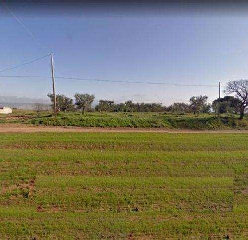 Terreno agricolo in vendita a Montescaglioso