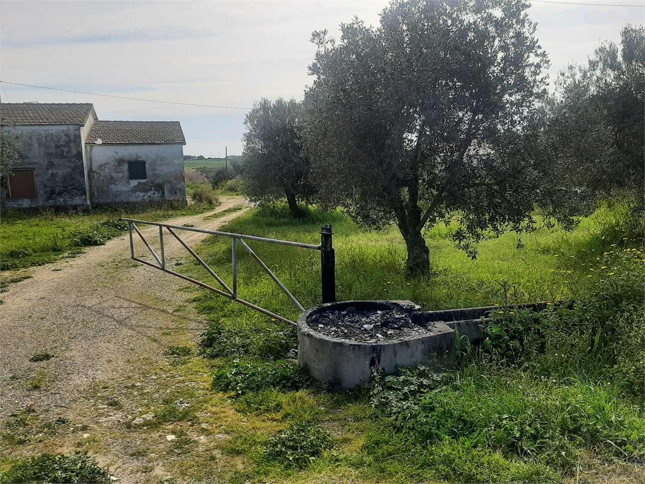 Terreno agricolo in vendita a Bernalda