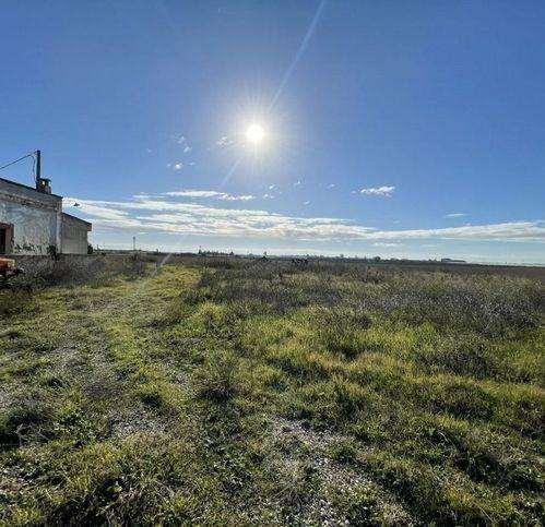 Terreno agricolo in vendita a Ginosa
