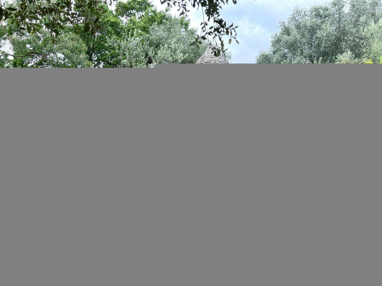 Villa in vendita a Cisternino