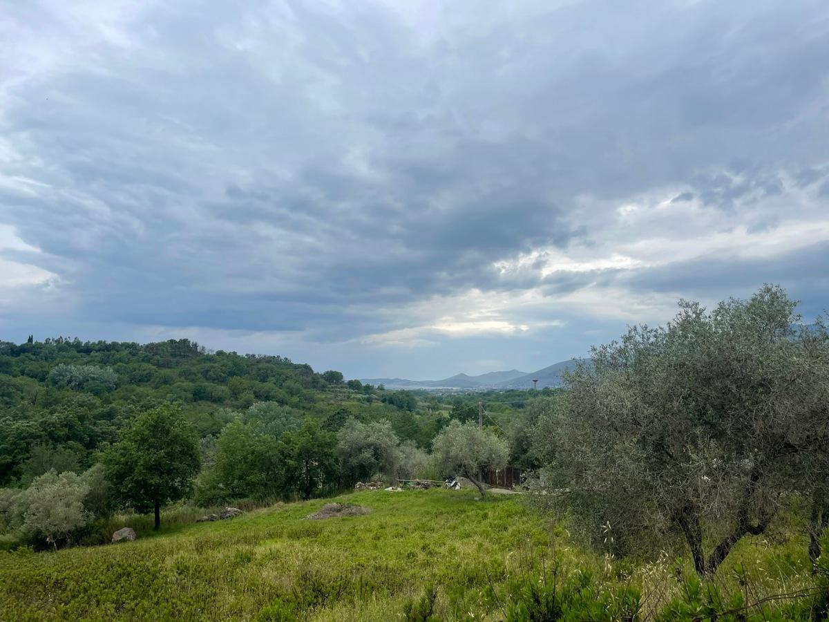 Terreno agricolo in vendita a Minturno