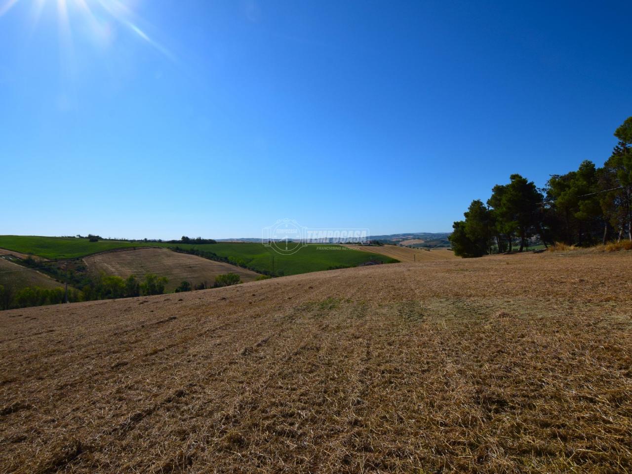 Terreno agricolo in vendita a Barbara
