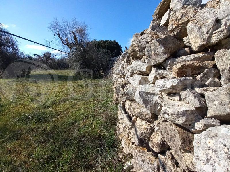 Terreno agricolo in vendita a Ugento