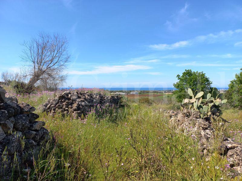 Terreno agricolo in vendita a Ugento