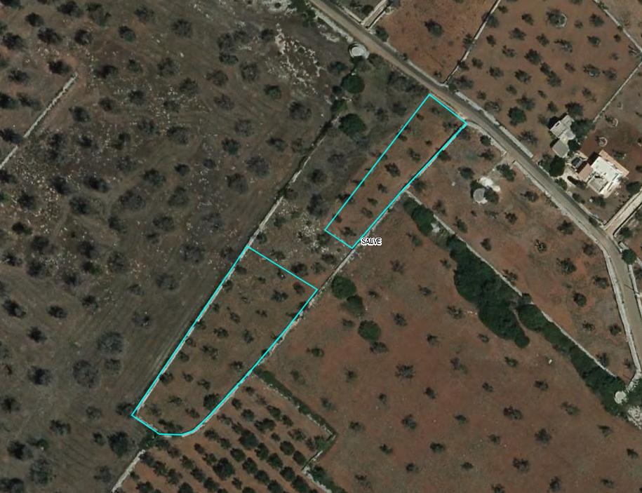 Terreno agricolo in vendita a Salve