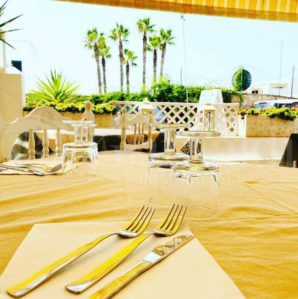 Ristorante in affitto a Castrignano Del Capo