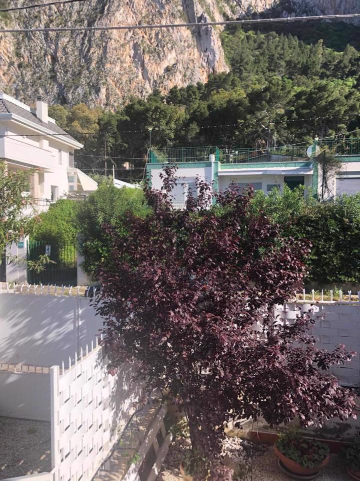 Villa in affitto a Palermo