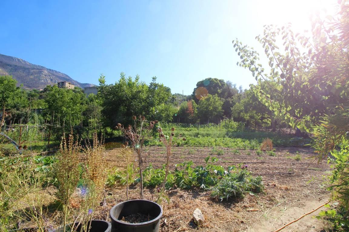 Terreno agricolo in vendita a Altofonte