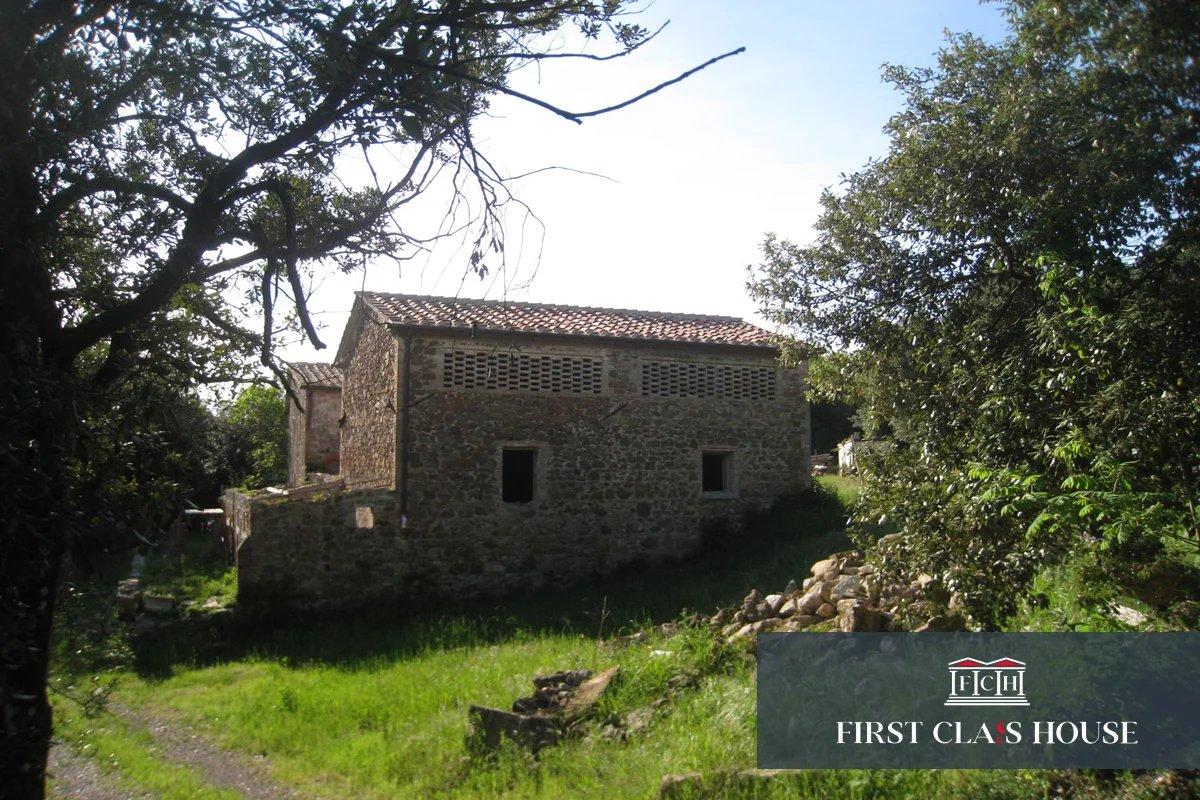 Azienda agricola in vendita a Murlo