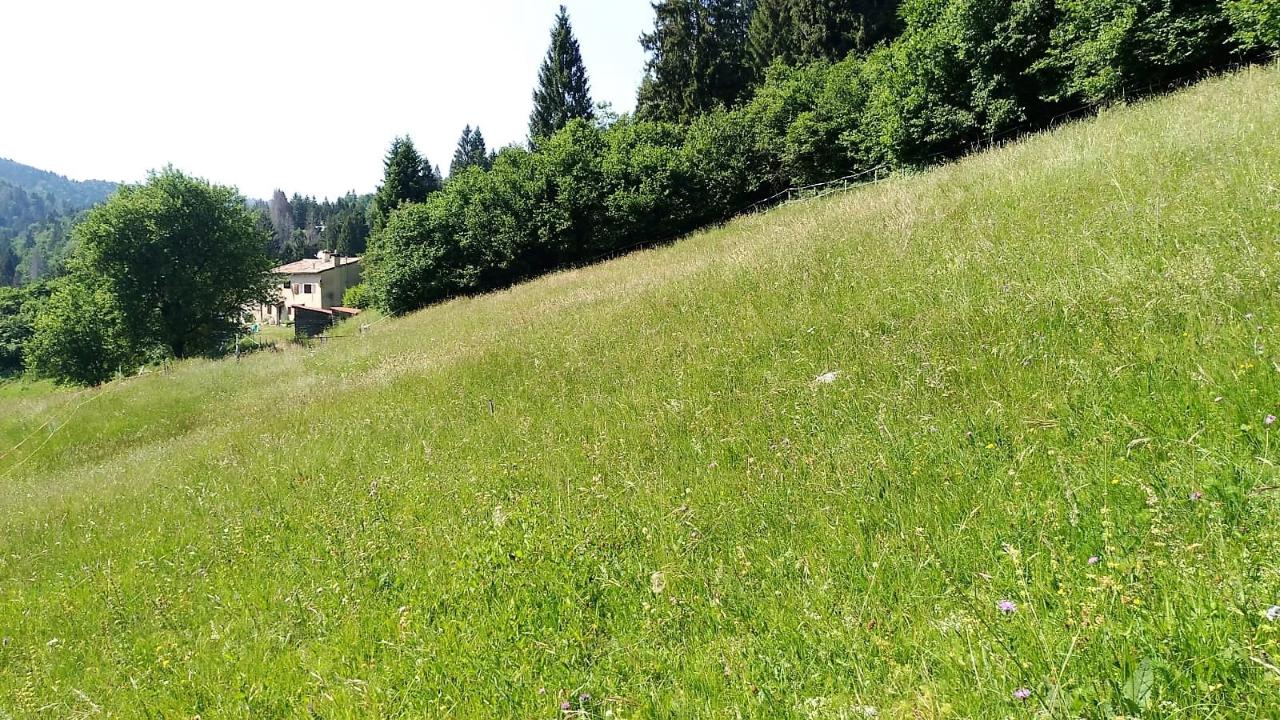 Terreno agricolo in vendita a Borso Del Grappa