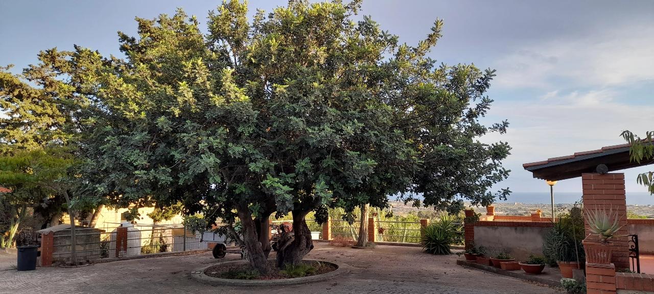 Villa in vendita a Scicli